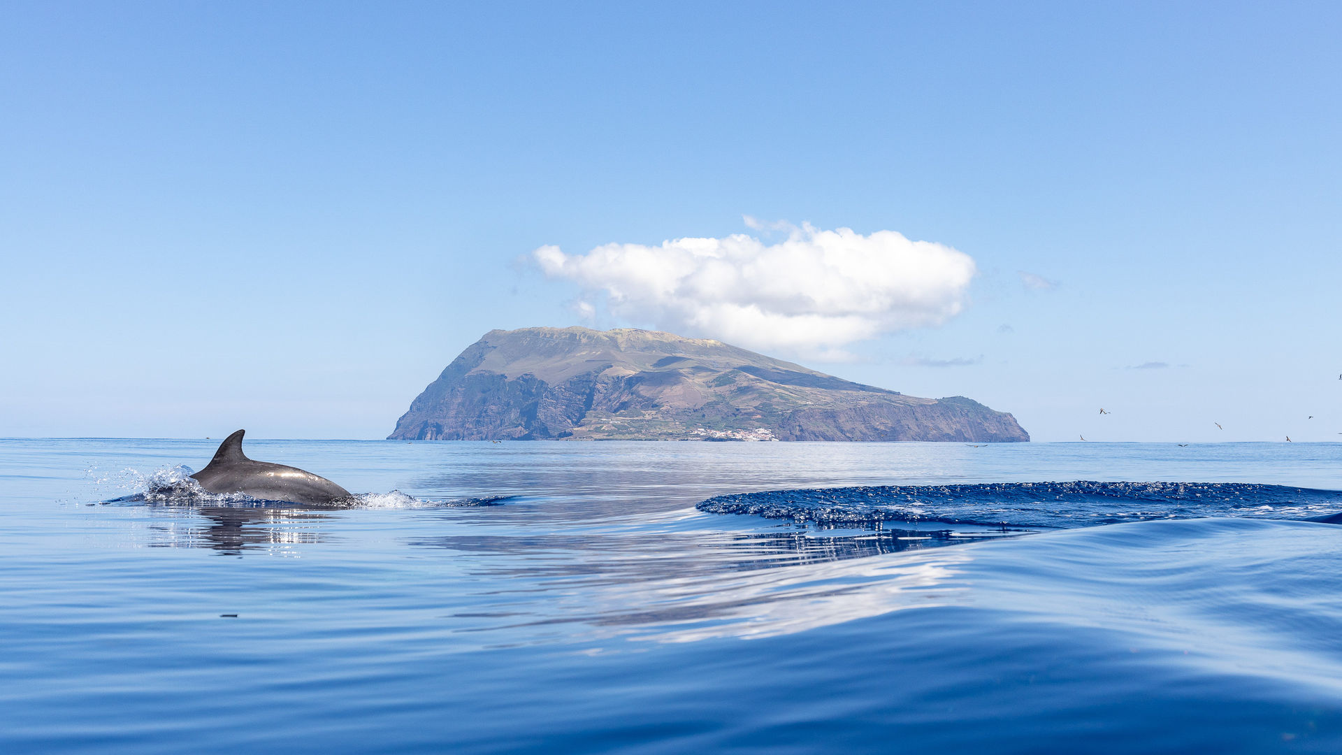 Ultimate Azores Tour: 9-Island Guided Adventure | Azores Getaways