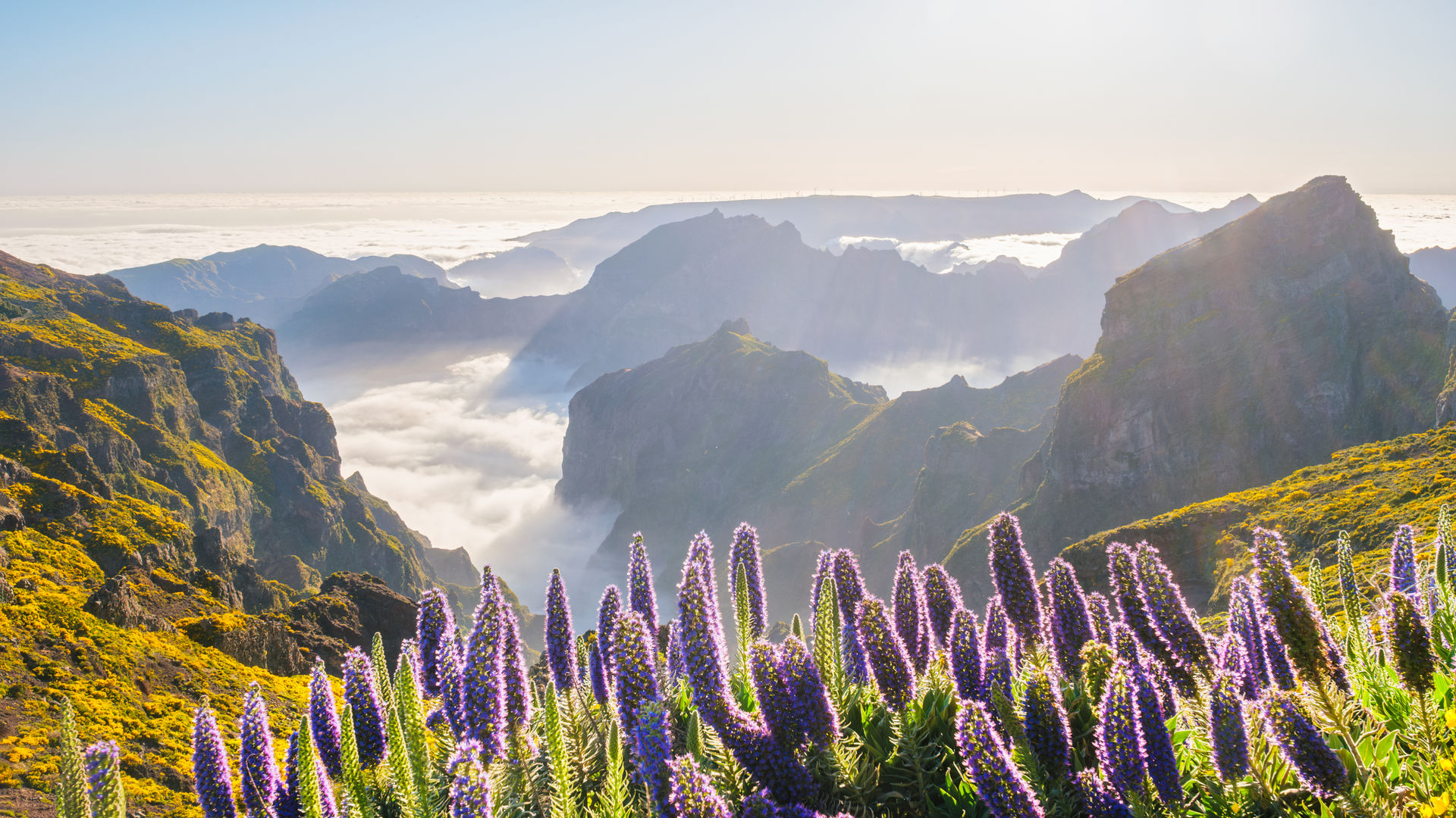 Budget-Friendly Madeira Summer | Portugal Getaways