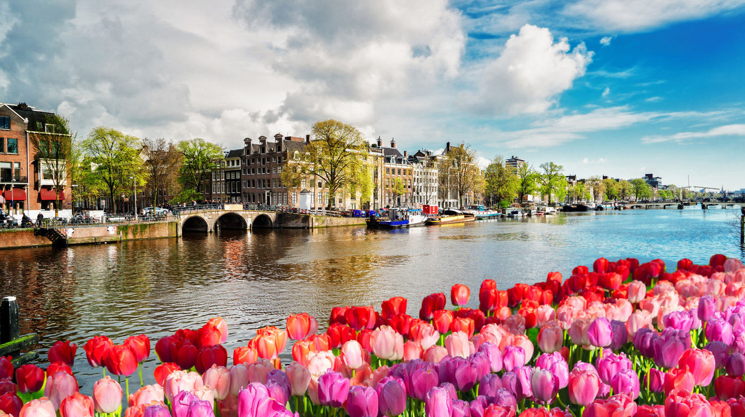 Rhine River Cruise: From Amsterdam to Basel | Yes Getaways