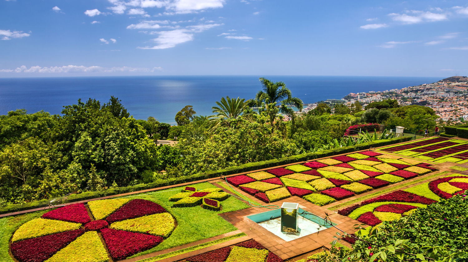 Monte Wicker Basket Toboggan Ride in Madeira Island | Portugal Getaways