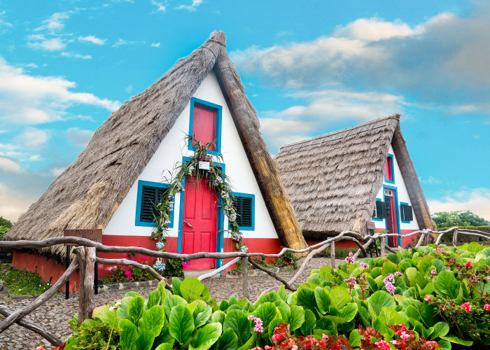 Monte Wicker Basket Toboggan Ride in Madeira Island