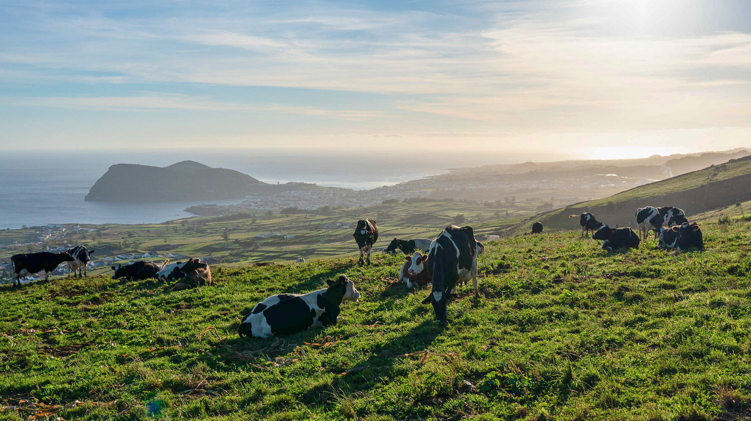 Terceira: 8-Day Heritage & Traditions Guided Group Trip | Azores Getaways