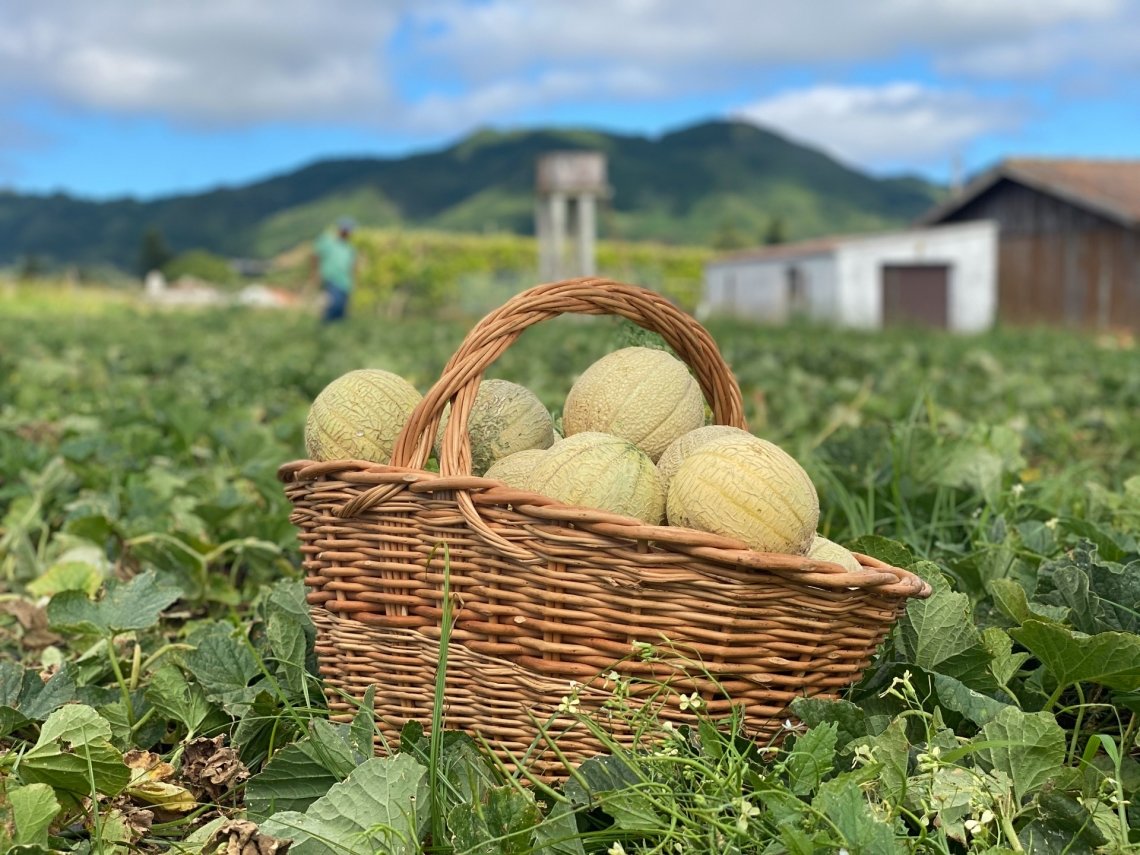 What To Visit in Santa Maria Island, Azores?