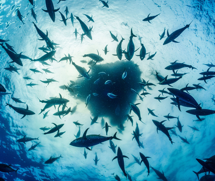 Preserving the Azores: Our Promise to Protect and Sustain | Azores Getaways